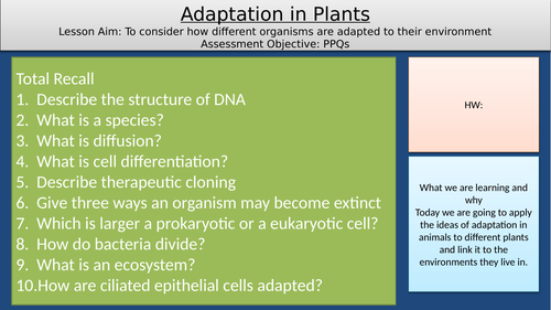 lesson_adaptation in plants_AQA GCSE | Teaching Resources