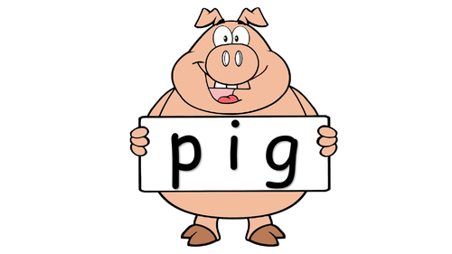 Phonics Sound Out 3 Letter Words | Teaching Resources