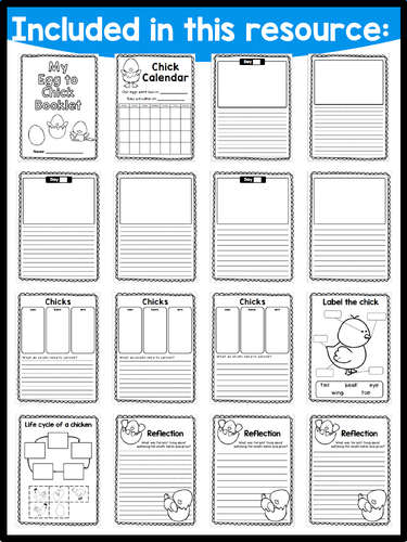 Egg to Chick Booklet | Chick Hatching Journal | Teaching Resources