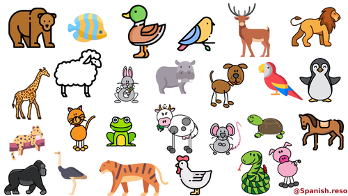 Los animales (primary) | Teaching Resources