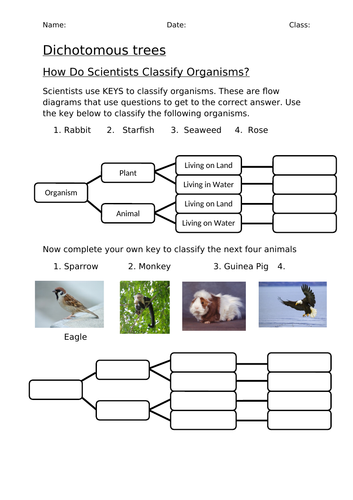 Year 7 Unit Reviewing Yr 6 | Teaching Resources
