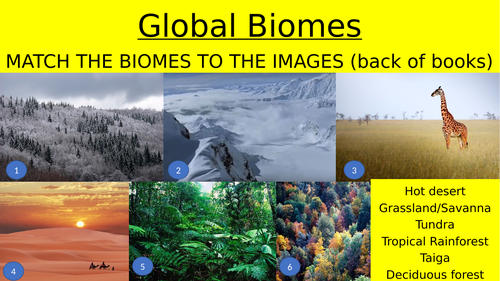 KS3 Geography - Ecosystems - Introduction to Biomes | Teaching Resources