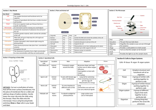 KS3_science_cells | Teaching Resources