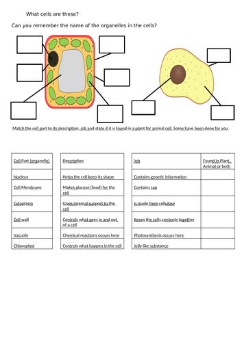 KS3_science_cells | Teaching Resources