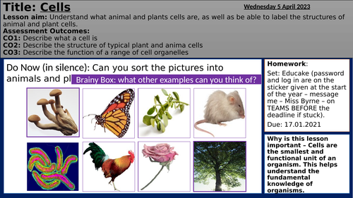 KS3_science_cells | Teaching Resources