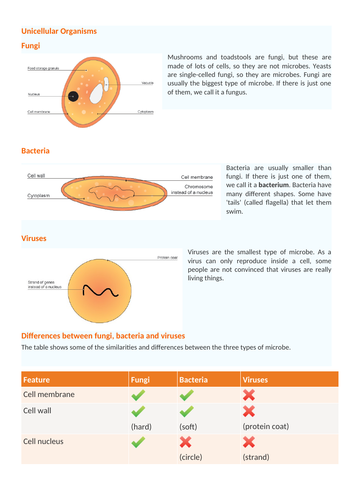 KS3_science_cells | Teaching Resources