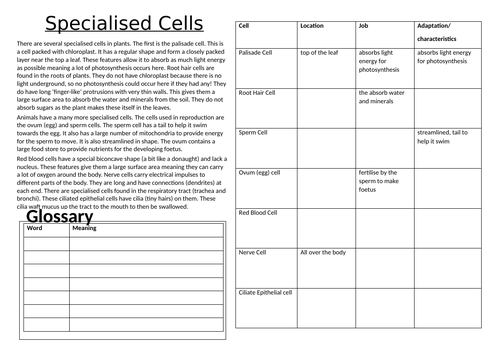 KS3_science_cells | Teaching Resources