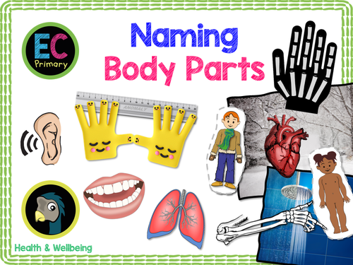 Naming Body Parts - EYFS PSHE | Teaching Resources
