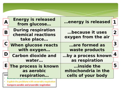 GCSE Biology Anaerobic Respiration | Teaching Resources