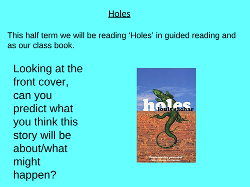 Holes Reading Comprehension Questions | Teaching Resources