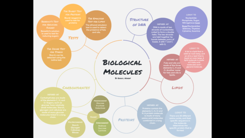 IGCSE Biological Molecules | Teaching Resources IGCSE Biological Molecules | Teaching Resources