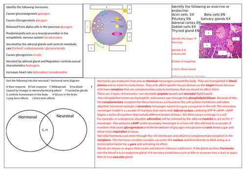 Revision Summary sheets and answers OCR A Biology A level Y12/13 ...