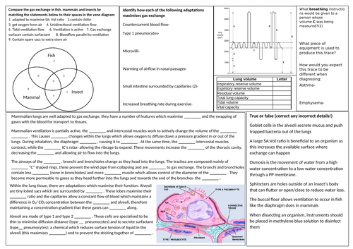 Revision Summary sheets and answers OCR A Biology A level Y12/13 ...