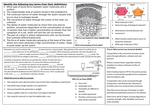 Revision Summary sheets and answers OCR A Biology A level Y12/13 ...
