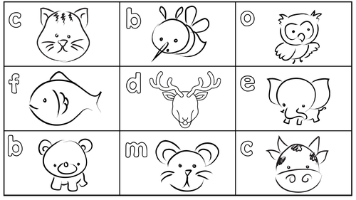 Animal Phonics Cards Initial Sounds | Teaching Resources