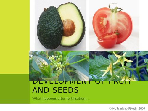 PowerPoint: From Flowers to Fruits | Teaching Resources