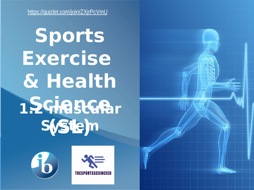 1.2 Muscular System - IB SEHS | Teaching Resources