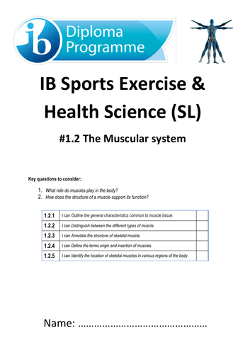 1.2 Muscular System - IB SEHS | Teaching Resources