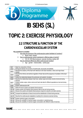 2.2 Cardiovascular System - IB SEHS | Teaching Resources