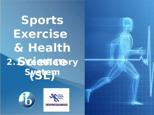 2.1 Ventilatory System - IB SEHS | Teaching Resources
