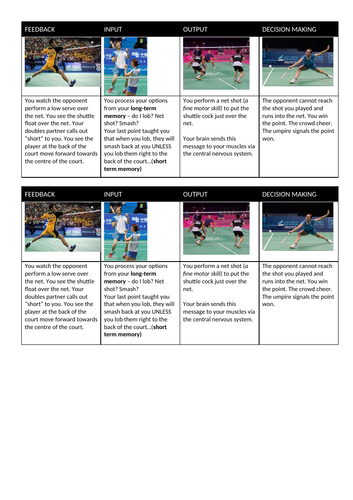 5.2 Information Processing - IB SEHS (SL) | Teaching Resources