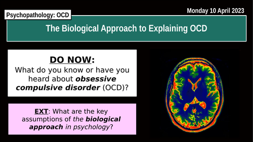 A-Level Psychology - THE BIOLOGICAL APPROACH TO EXPLAINING OCD ...
