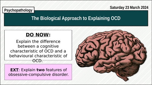 A-Level Psychology - THE BIOLOGICAL APPROACH TO EXPLAINING OCD ...