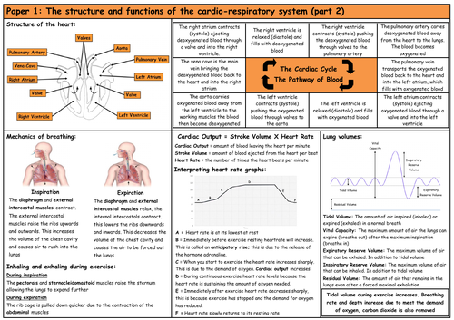 AQA GCSE PE Knowledge organisers | Teaching Resources