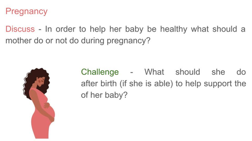 Pregnancy and Parenting PSHE Lesson | Teaching Resources