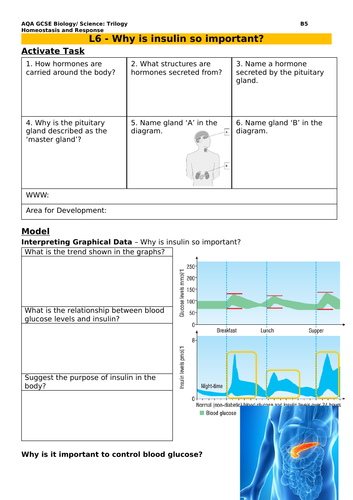 B5 Homeostasis and Response - AQA GCSE Combined Science (9-1) NEW v2.0 ...