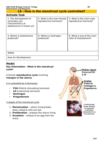 B5 Homeostasis and Response - AQA GCSE Combined Science (9-1) NEW v2.0 ...