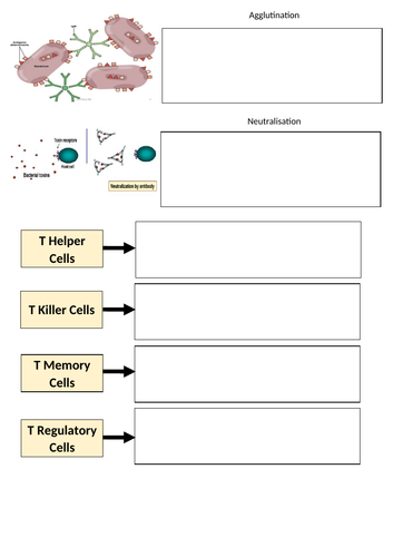 OCR A-Level Biology Communicable Diseases | Teaching Resources