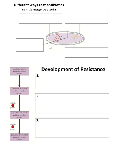 OCR A-Level Biology Communicable Diseases | Teaching Resources