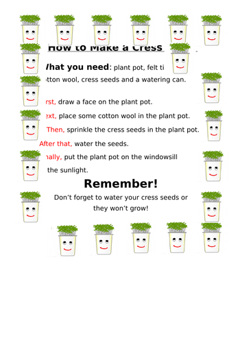 EYFS (Nursery) T4W Instructions How to Make a Cress Head Imitiate ...