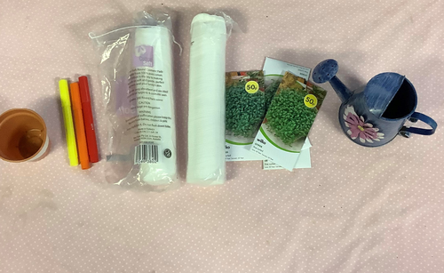 EYFS (Nursery) T4W Instructions How to Make a Cress Head Imitiate ...