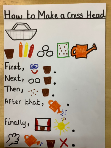 EYFS (Nursery) T4W Instructions How to Make a Cress Head Imitiate ...