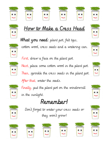 EYFS (Nursery) T4W Instructions How to Make a Cress Head Imitiate ...