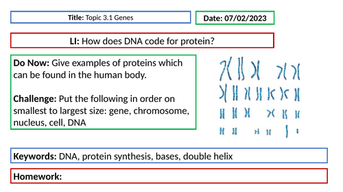 IB Biology (SL) Topic 3: Genetics (Complete) | Teaching Resources
