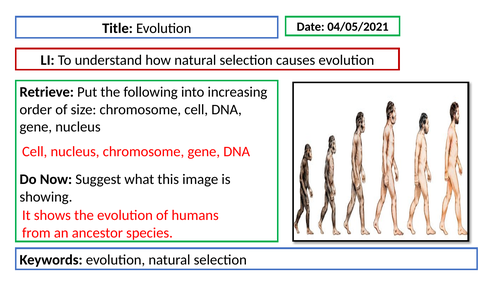 Igcse Biology B18 Variation And Selection Complete Cambridge Teaching Resources