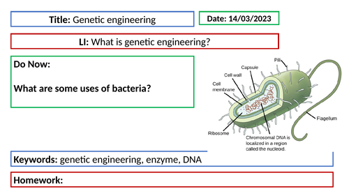 iGCSE Biology: B21 Biotechnology and Genetic modification (Cambridge ...