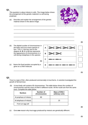 A Level Biology Revision Mats (5 Mats) & Exam Practice | Teaching Resources
