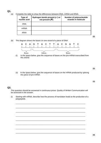 A Level Biology Revision Mats (5 Mats) & Exam Practice | Teaching Resources