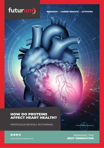 How do proteins affect heart health? | Teaching Resources