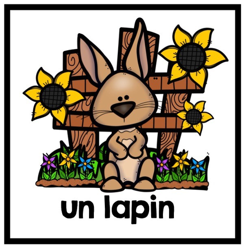 FRENCH ANIMALS CARDS | Teaching Resources