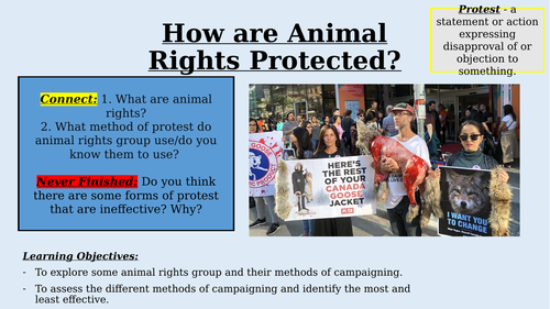 Religion and Animal Rights | Teaching Resources