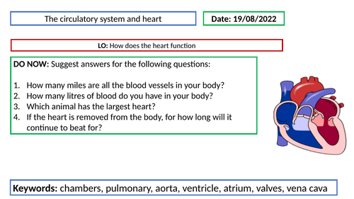 Biology: The Heart (KS3/Grade 8/9) | Teaching Resources