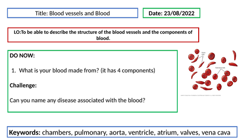 Biology: Blood and blood vessels (KS3/grade 8/9) | Teaching Resources