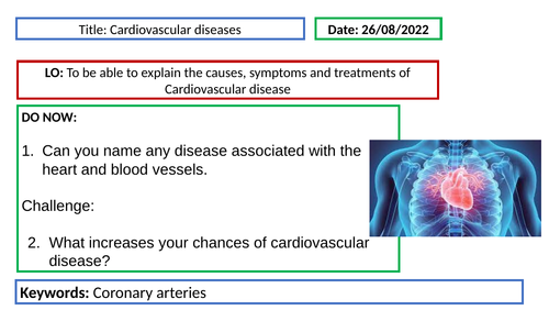 Biology: Cardiovascular disease (KS3/Grade 8/9) | Teaching Resources
