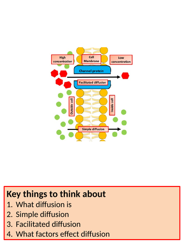 AQA KS4 GCSE Biology (Science) Transport in Cells Revision Lesson ...
