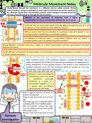 AQA KS4 GCSE Biology (Science) Transport in Cells Revision Lesson ...